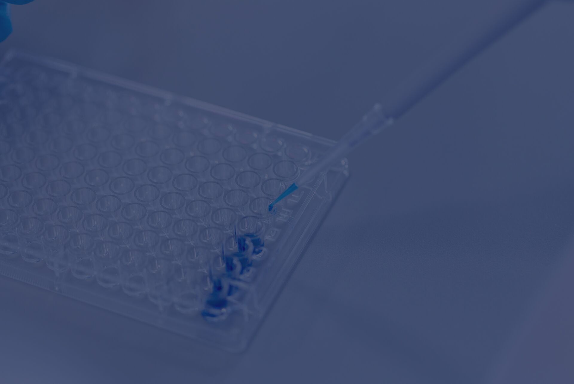 SA Path Western Cape Gauteng Eastern Cape Limpopo Mpumalanga & North West